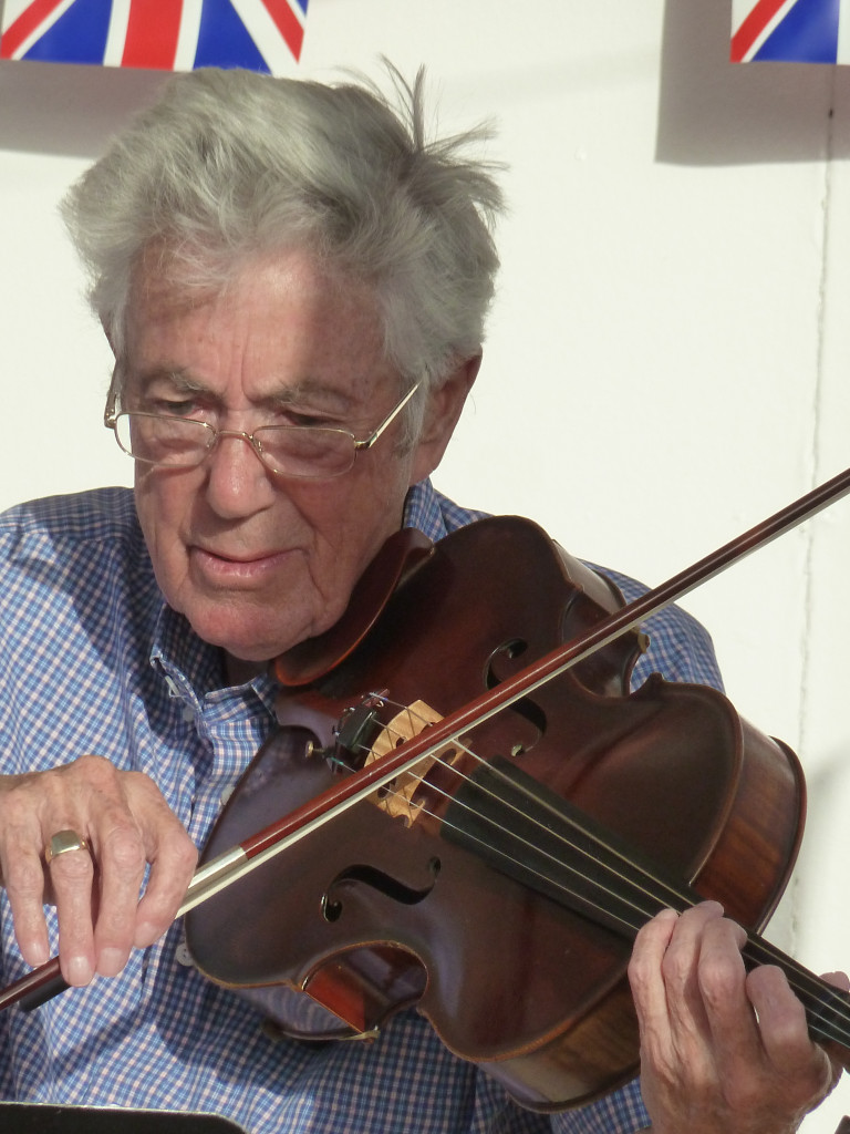 Gwyn Williams Bursary Fund – British Viola Society